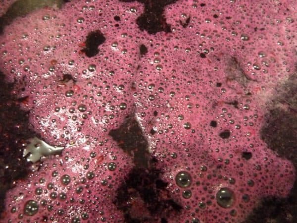 Tips For Pokeberry Dyeing on Wool - Botanical Colors