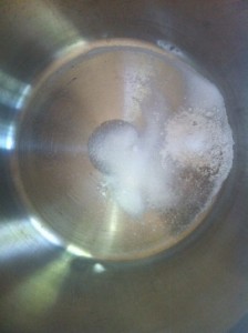 Dyeing For Dummies: The Wonders of Cochineal - Botanical Colors