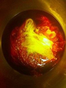 Dyeing For Dummies: The Wonders of Cochineal - Botanical Colors