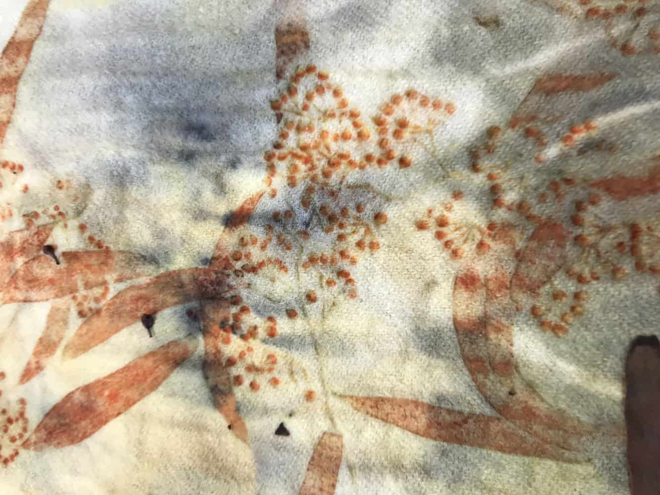 FEEDBACK FRIDAY: This Week in Natural Dye Questions - Botanical Colors