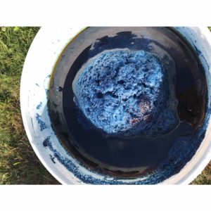 Frequently Asked Questions About Indigo - Botanical Colors