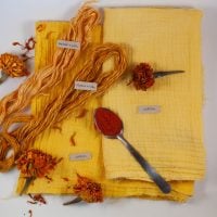 Natural Dyes - Botanical Colors