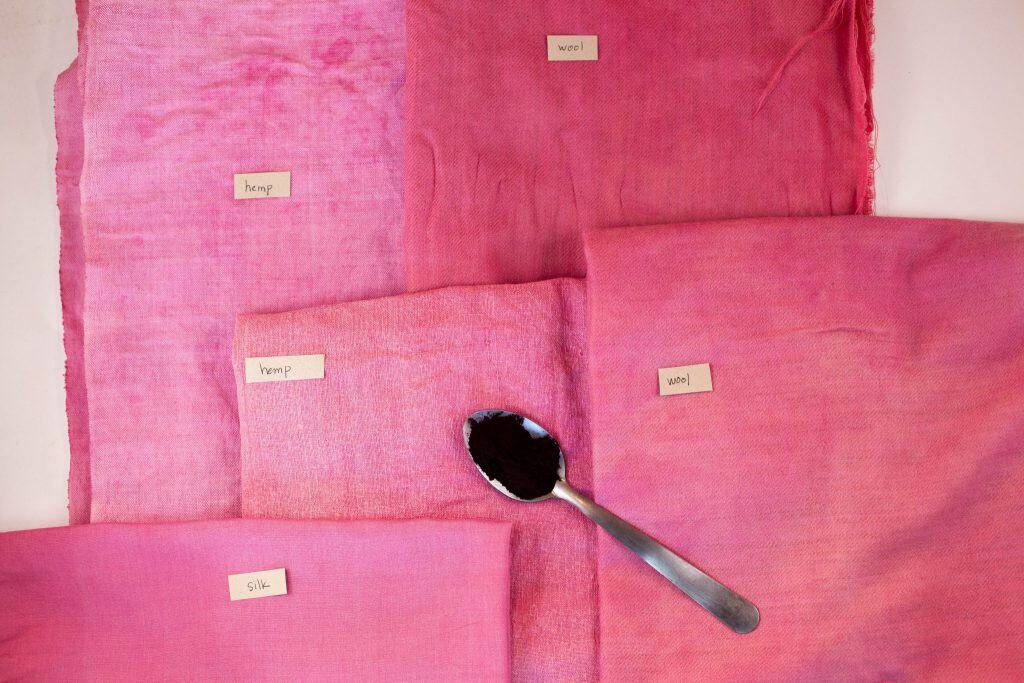 Whole Cochineal Insects - Botanical Colors