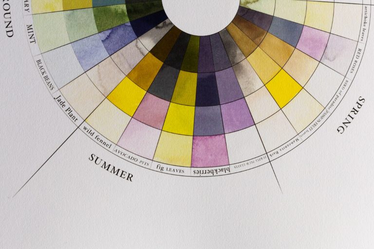The Seasonal Color Wheel by Sasha Duerr - Botanical Colors