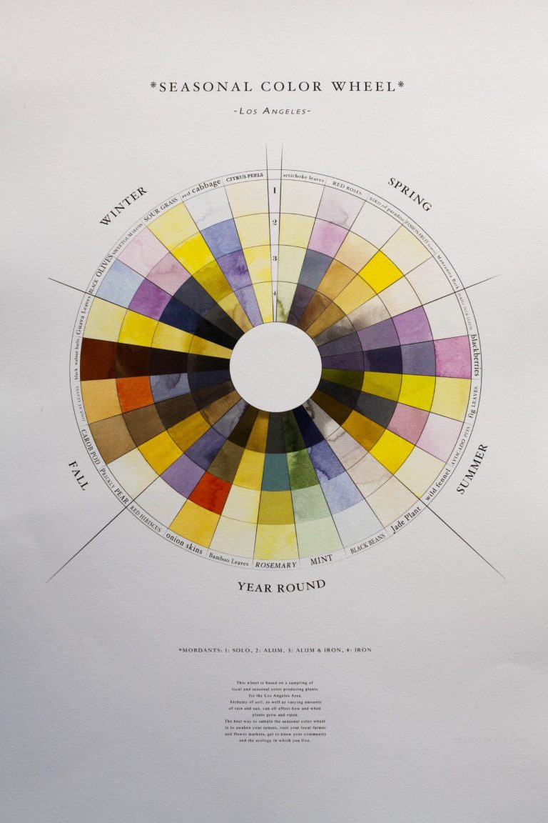The Seasonal Color Wheel by Sasha Duerr - Botanical Colors