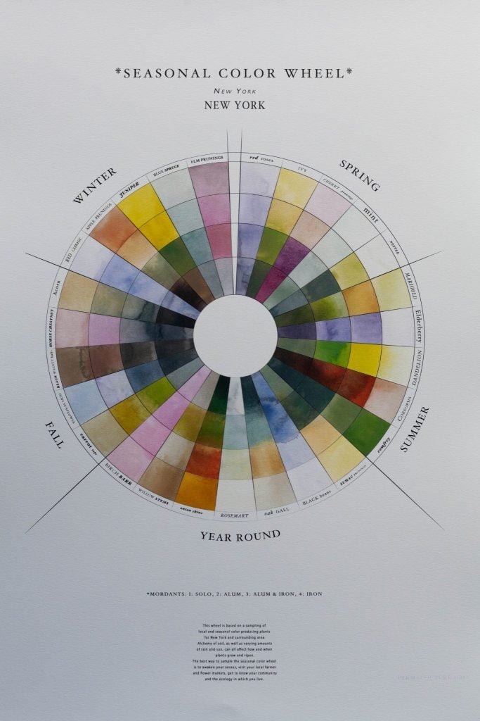 The Seasonal Color Wheel by Sasha Duerr - Botanical Colors