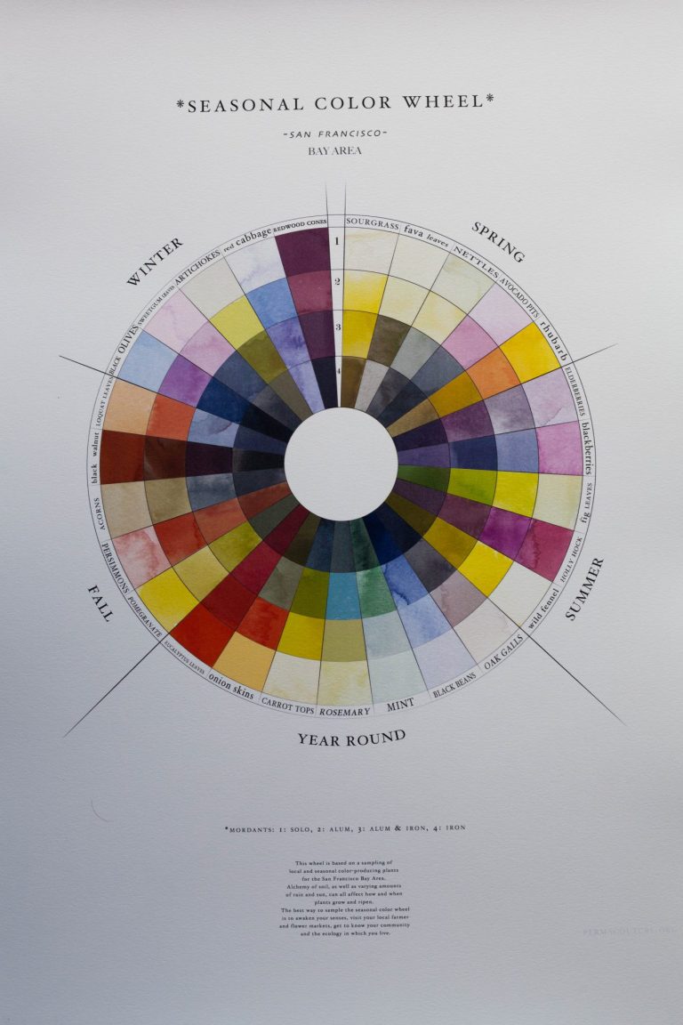 The Seasonal Color Wheel by Sasha Duerr - Botanical Colors
