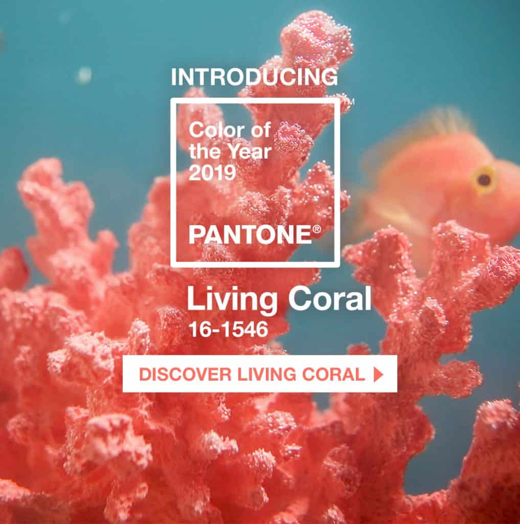 RECIPE: Living Coral, Pantone Color of the Year 2019 - Botanical Colors