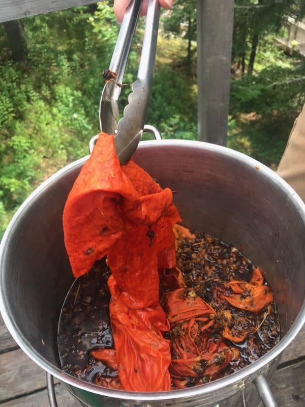 The Botanical Colors Beginner Dye Kit - Botanical Colors