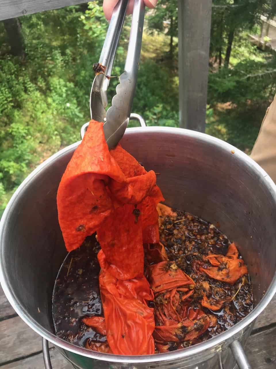 The Botanical Colors Beginner Dye Kit - Botanical Colors