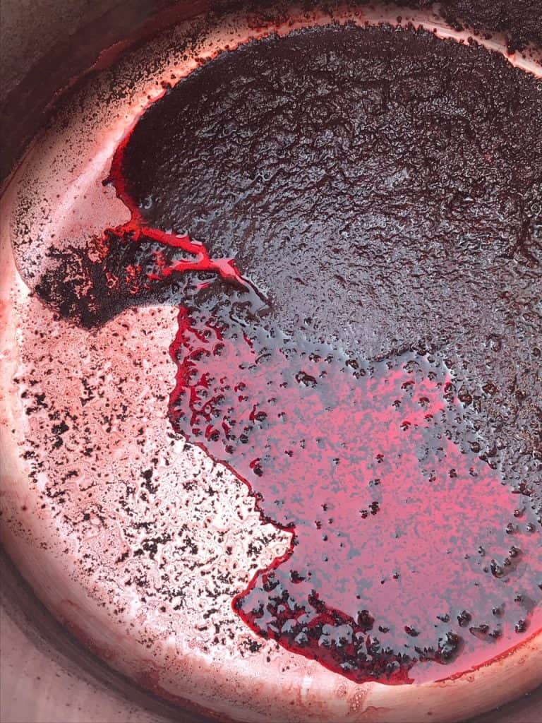 The Botanical Colors Beginner's Dye Kit - Botanical Colors