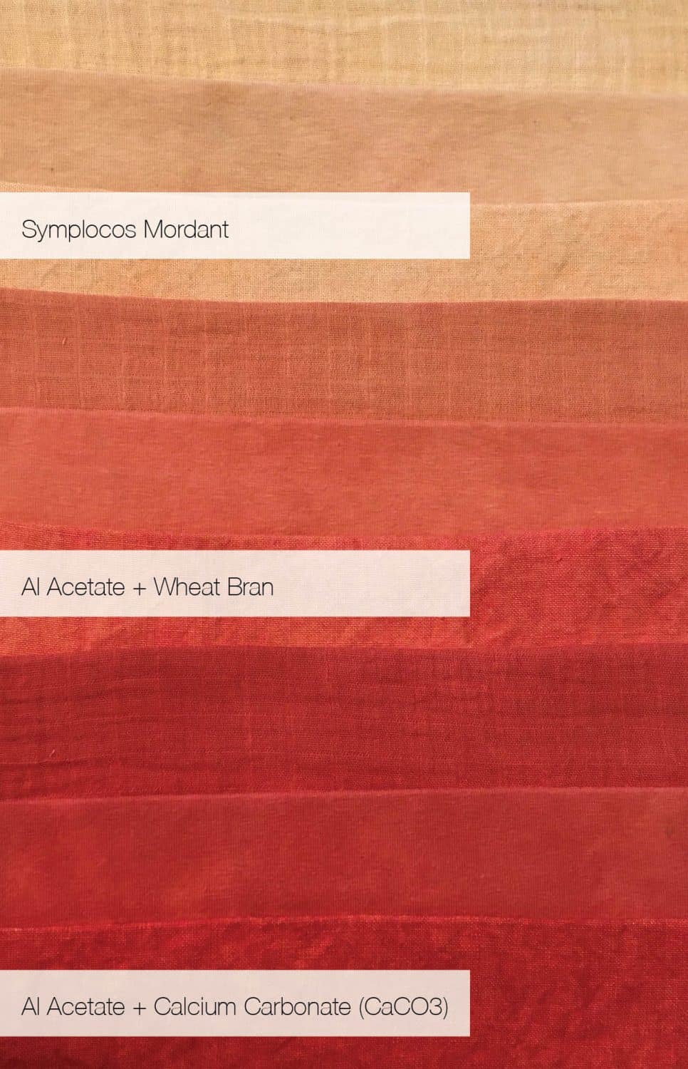 Q & A: Round Up of Scouring + Mordanting 101 - Botanical Colors