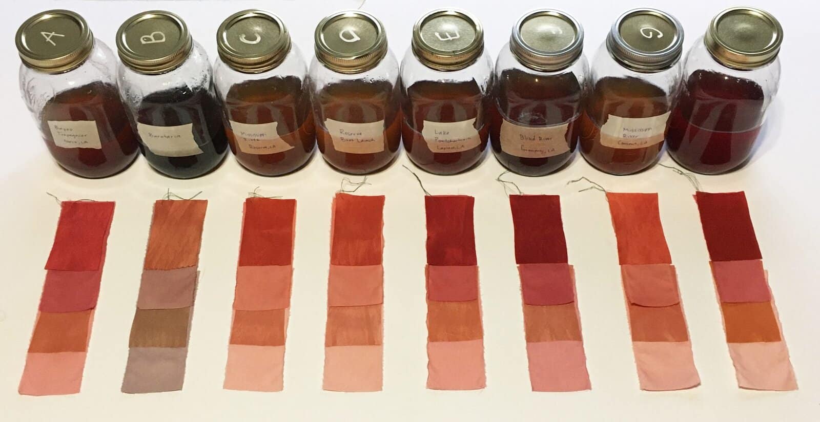 Video From LIVE FEEDBACK FRIDAY: Madder Experiments w/Jamie Bourgeois & Madeleine McGarrity ...