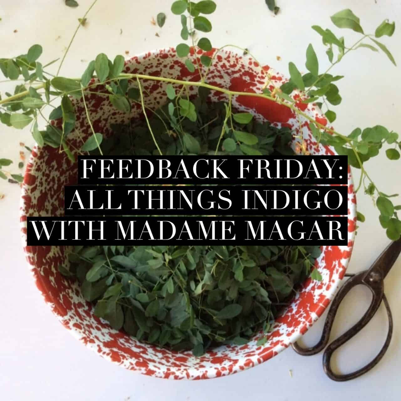 Video From LIVE FEEDBACK FRIDAY: Madame Magar - Botanical Colors