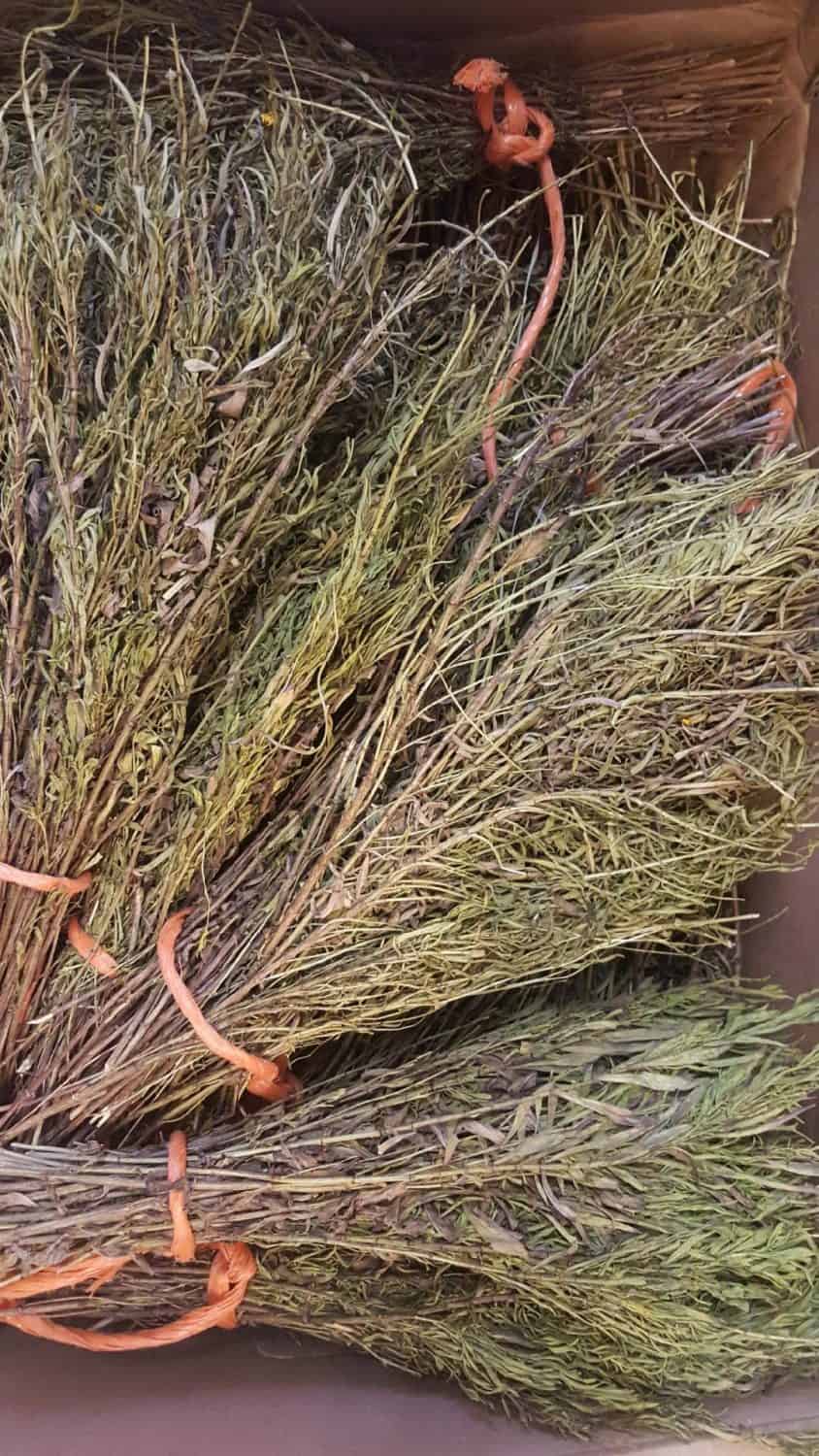 Organic Pericón - Botanical Colors