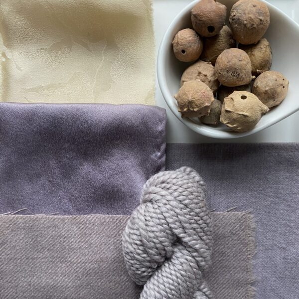 Mordant Monday: Medieval Oak Gall Ink Recipe - Botanical Colors