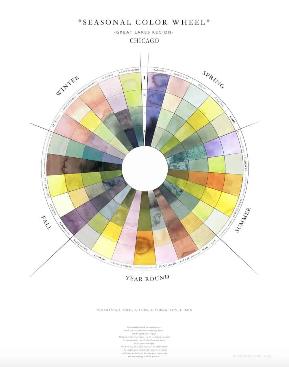 The Seasonal Color Wheel by Sasha Duerr - Botanical Colors