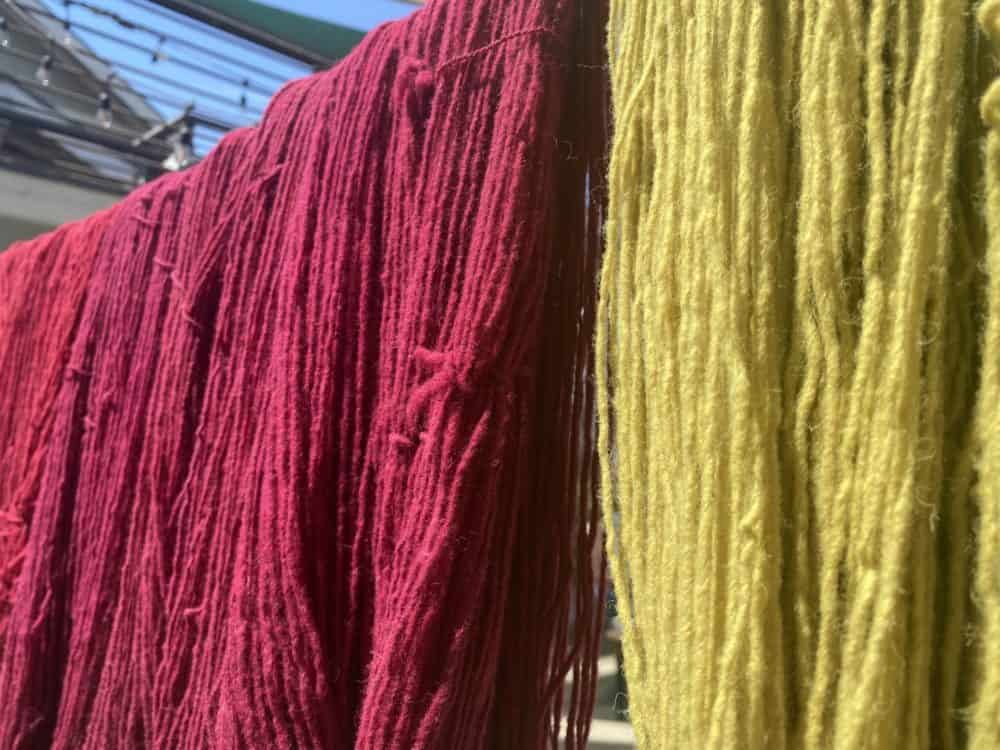 Whole Cochineal Insects - Botanical Colors