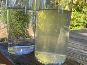 How to Scour - Botanical Colors