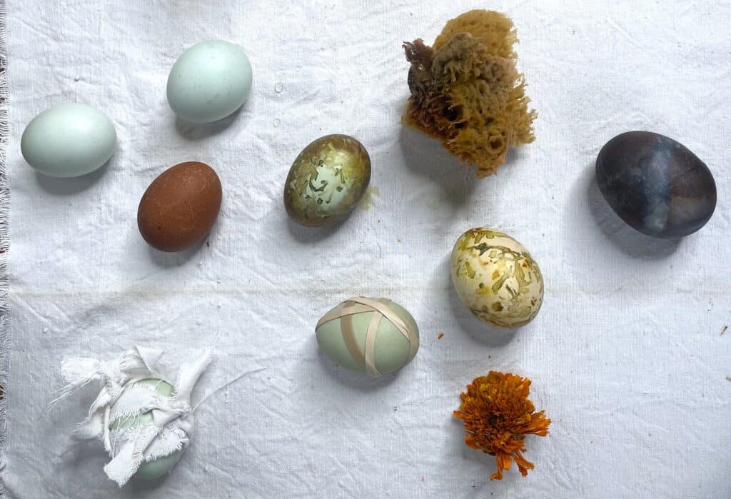 Dye Easter Eggs With Natural Dyes - Botanical Colors