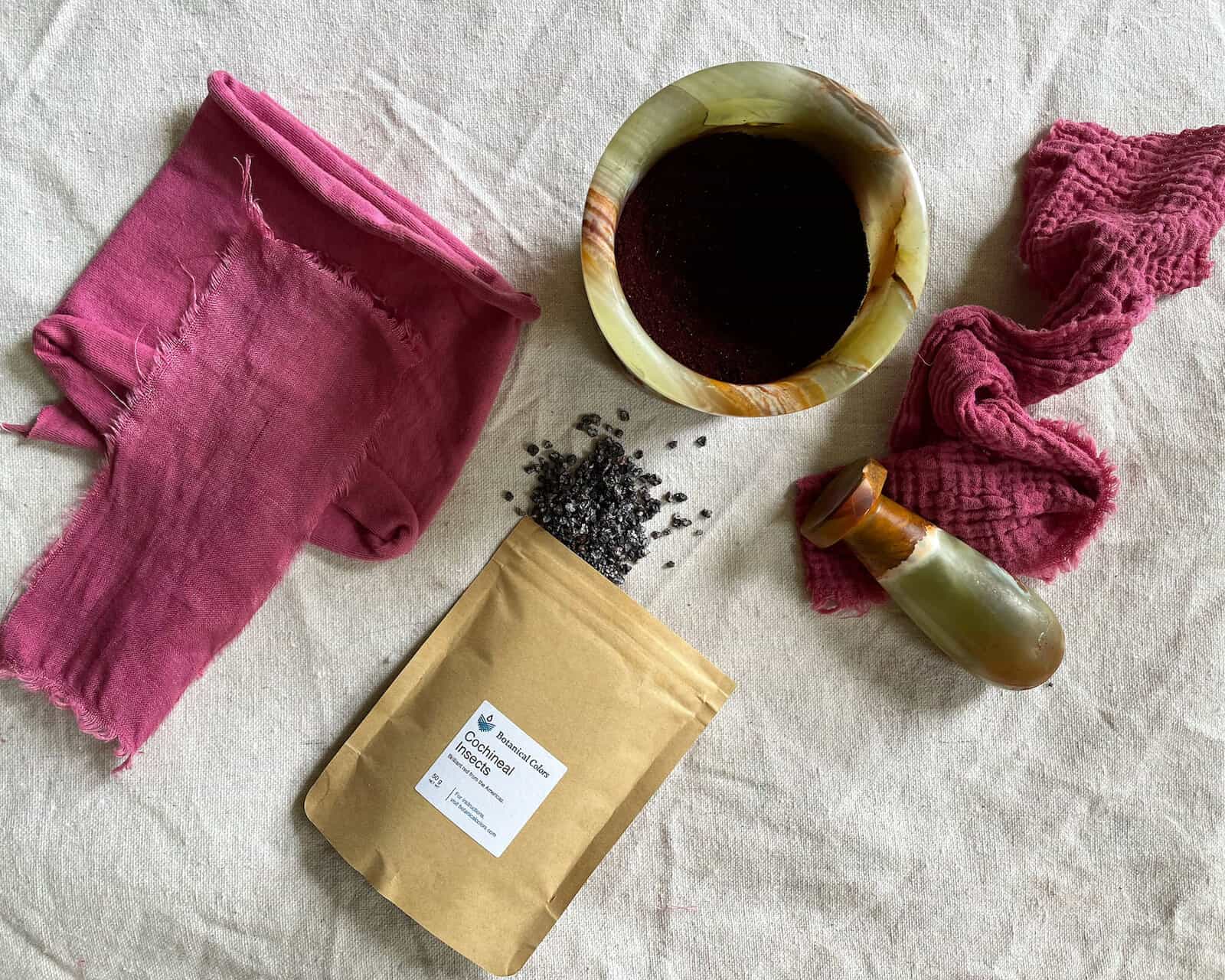 Pretty In Pink : Cochineal Instructions - Botanical Colors