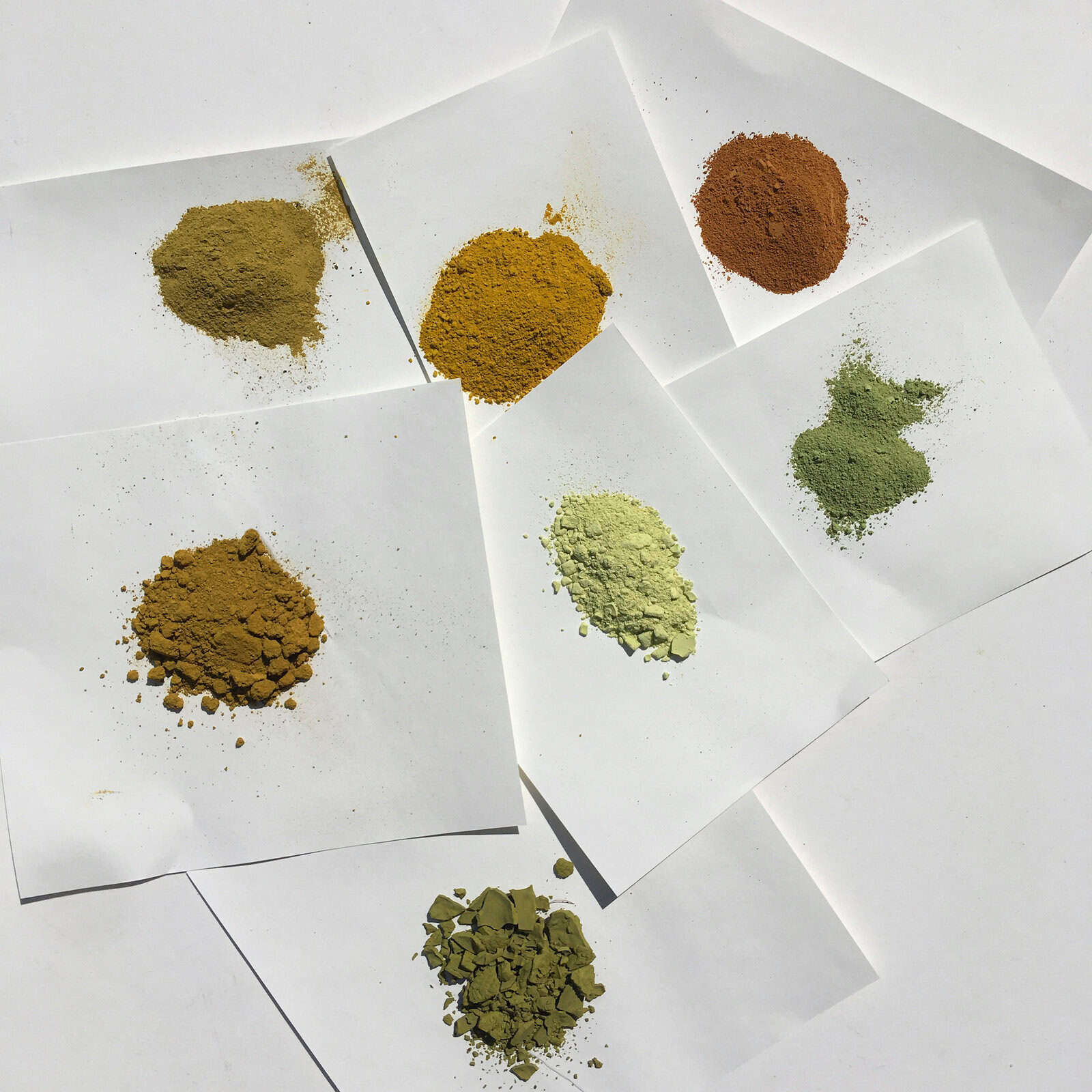 Q&A With Artist + Educator Natalie Stopka - Botanical Colors