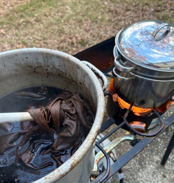 You Asked, Kathy Answered: Dyeing With Walnut Hulls - Botanical Colors