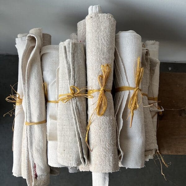 Shop - Botanical Colors