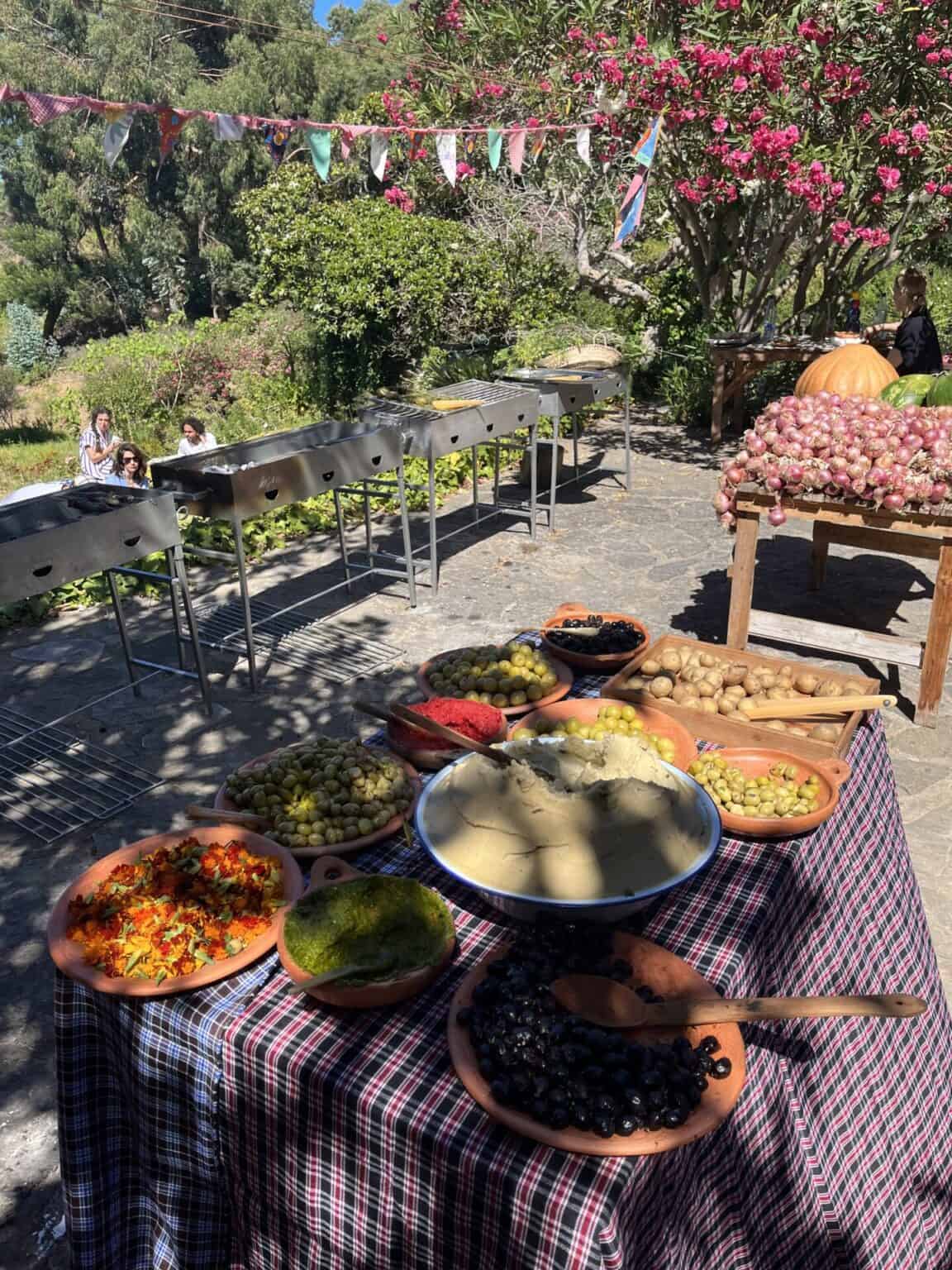 Experience the Colors of Tangier - Botanical Colors