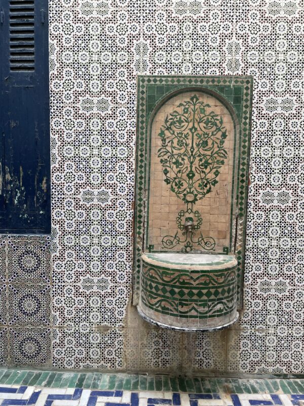 Experience the Colors of Tangier - Botanical Colors