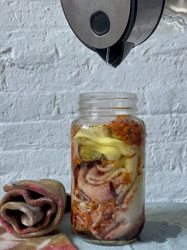 Petal Pusher Dye Kit Projects - Botanical Colors